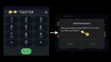 How to Check Your Bank Verification Number (BVN) On Any Phone ...